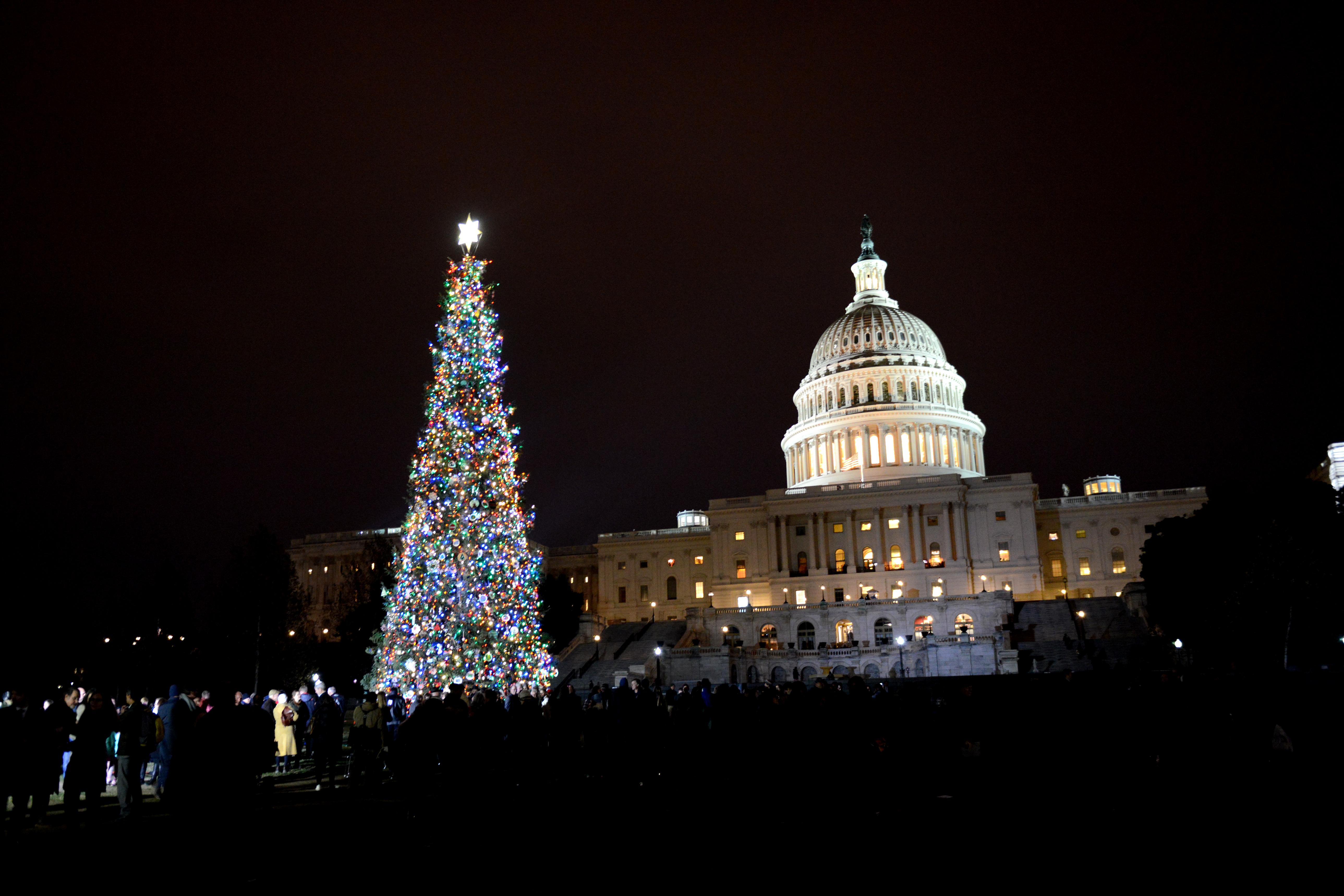 Noble fir from Oregon shines as U.S. Capitol Christmas tree | KVAL
