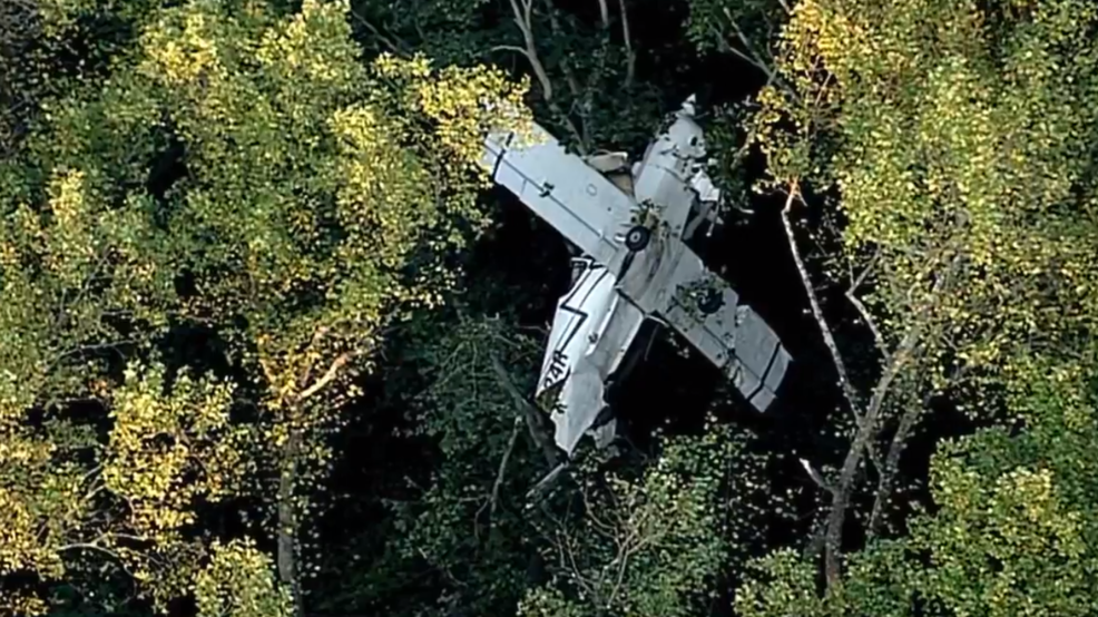 Plane crashes into tree in Hanover, passengers rescued with minor ...