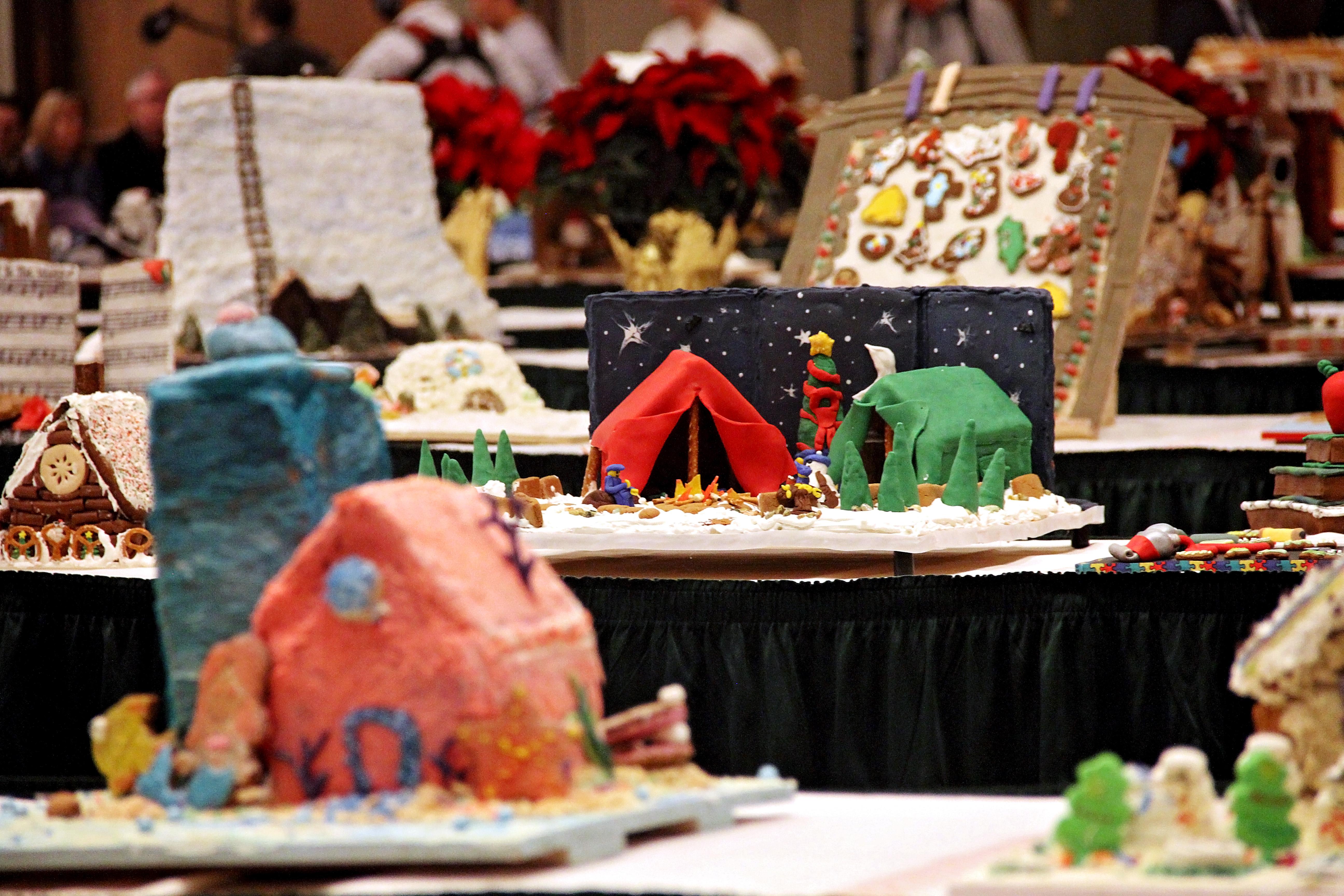 GALLERY | 25th Annual National Gingerbread House Competition | WLOS