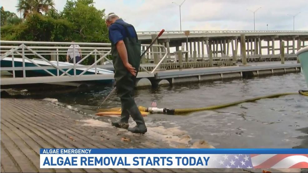Vacuum machine used in algae emergency along Treasure Coast | WPEC