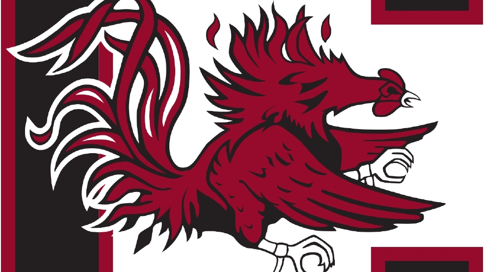 Gamecocks 2017 Football Signing Class | WPDE